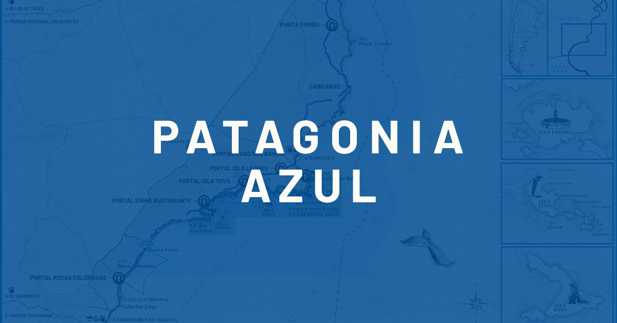 Planificá tu Visita a Patagonia Azul | Guía para Turistas
